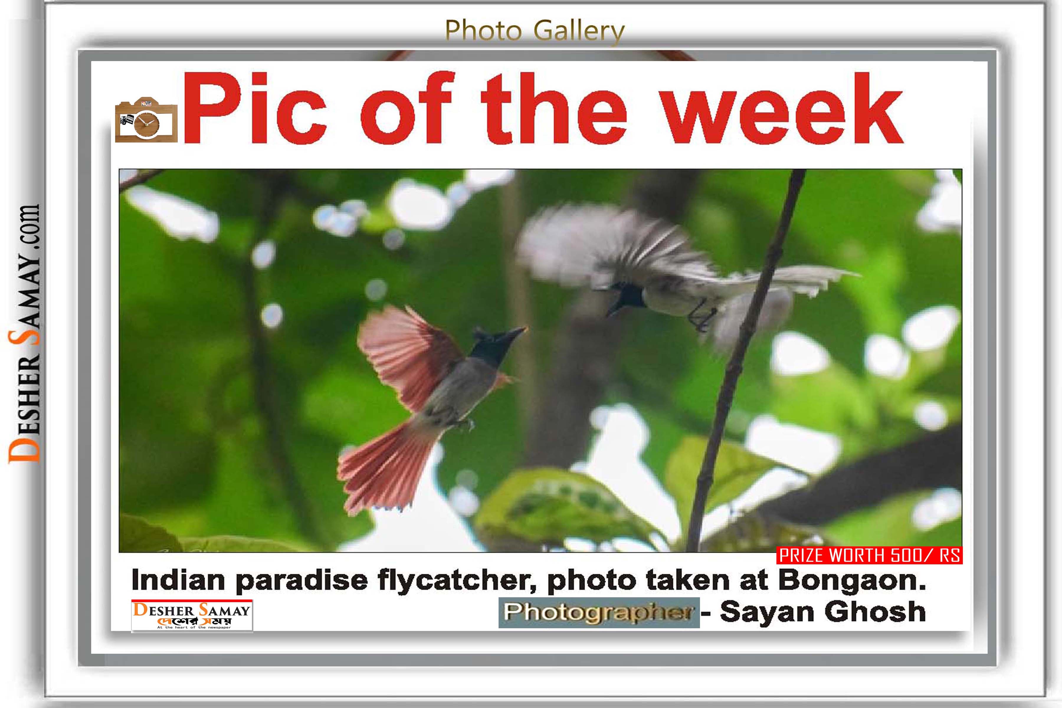 Pic of the week - Desher Samay